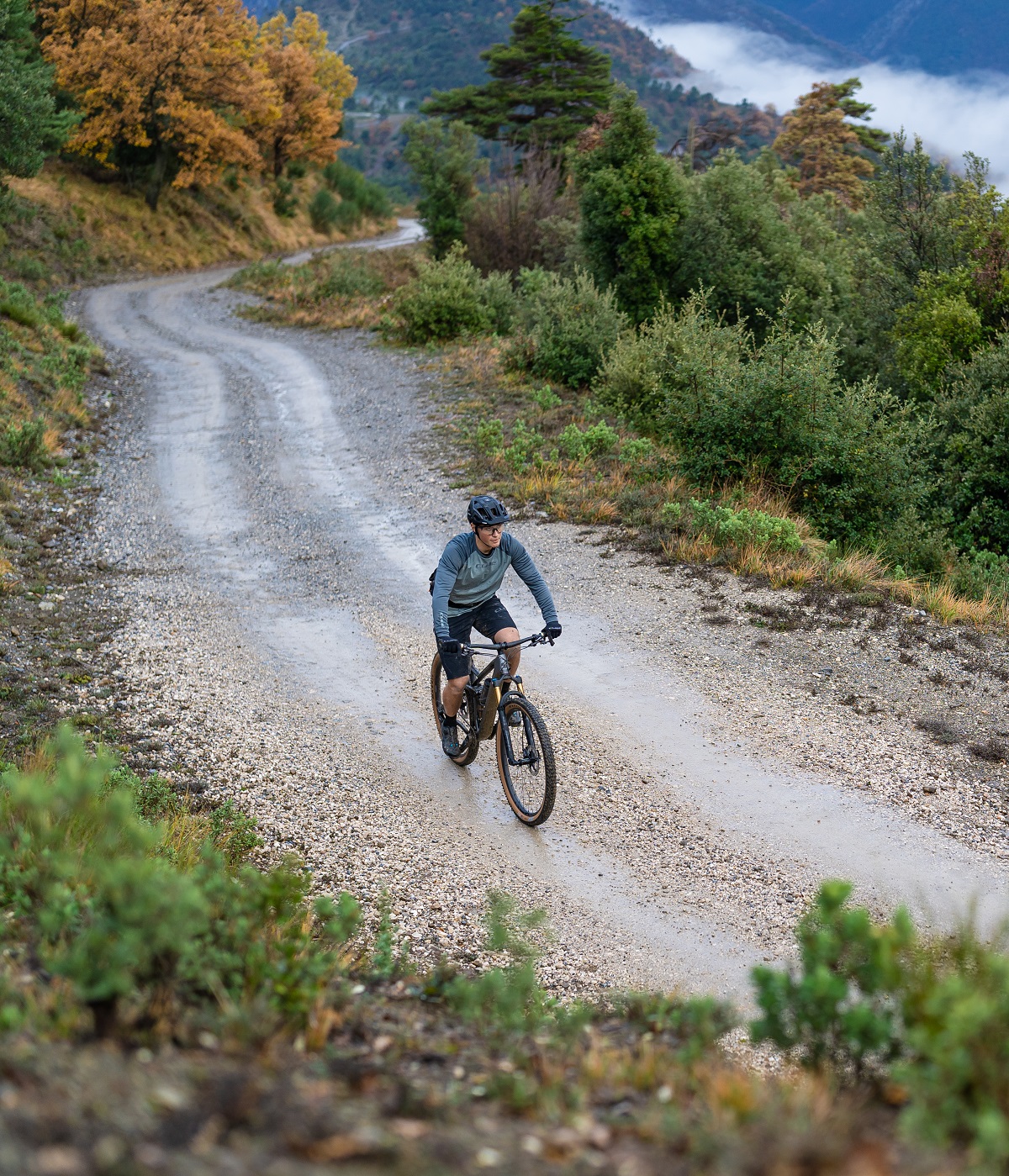 BIKE CLASSIFICATION - SUPPORT | CUBE Bikes