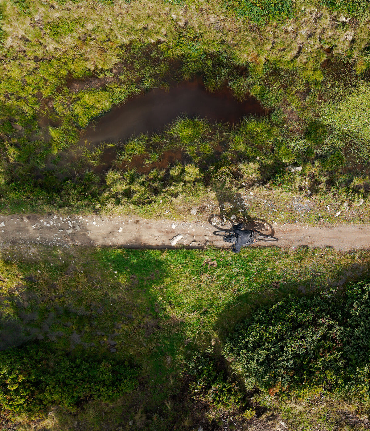 Cube Nuroad EX blueiris´n´lilac