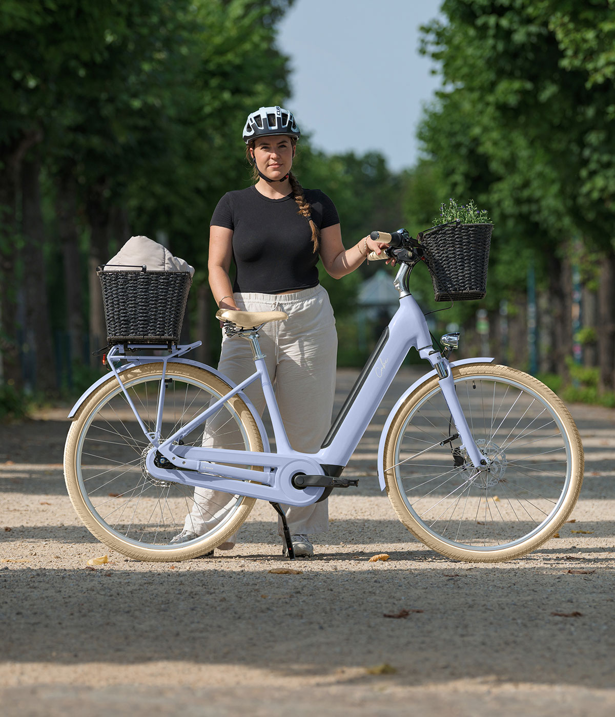 ACID Gepäckträger SIC 29" RILink